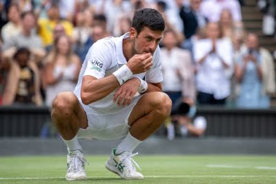 Wimbledon: Djokovic Celebrates Triumph By Eating Grass Again | Glamsham