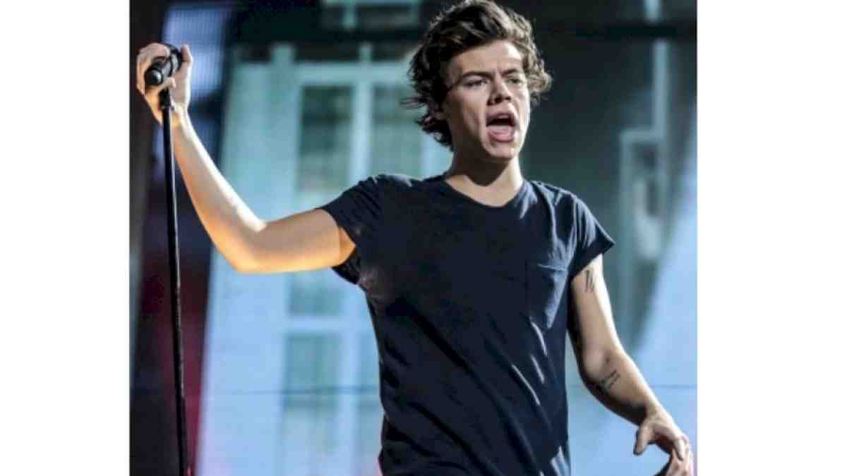 Harry Styles 'shakes It Off' After Being Hit In Groin With Bottle