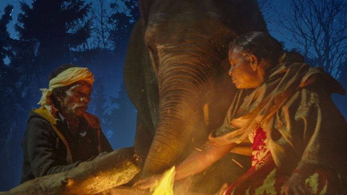 Documentary 'The Elephant Whisperers' To Drop On Dec 8 On Netflix