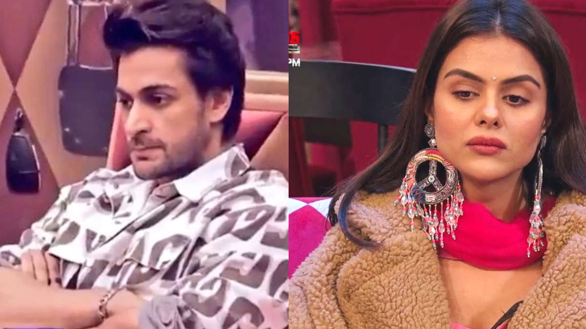 'Bigg Boss 16': Shalin Bhanot Pushes Priyanka Chahar Choudhary During A ...
