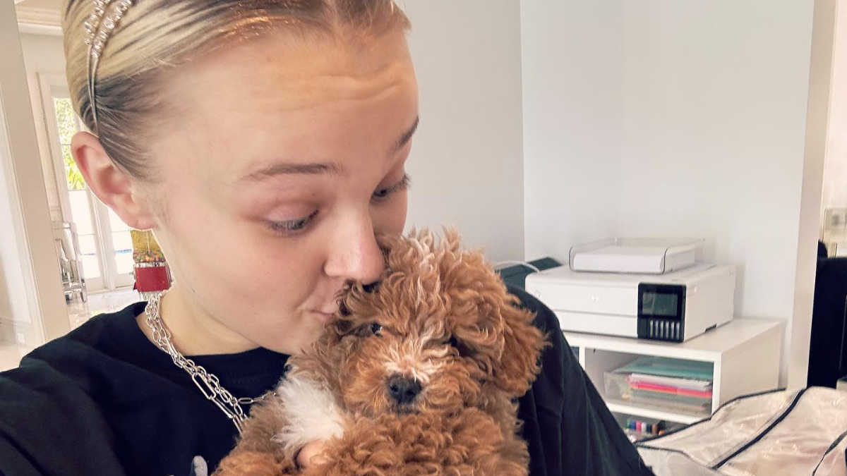 Jojo Siwa's Puppy Gets Tragically Killed In Accident | Glamsham