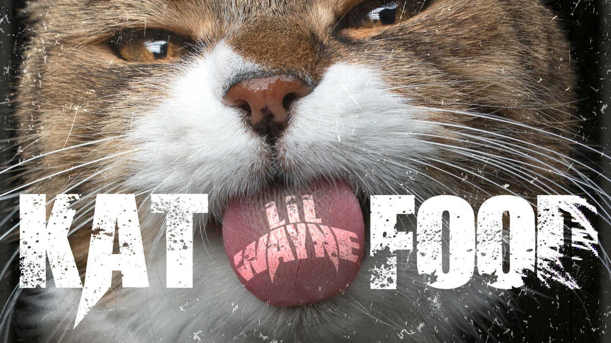Lil Wayne Releases New Single 'Kat Food' | Glamsham