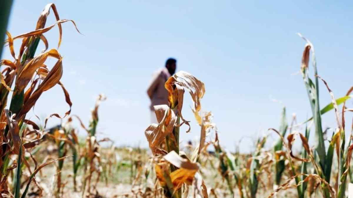 Global Report Shows Climate Change 'imperilled Life On Earth' | Glamsham