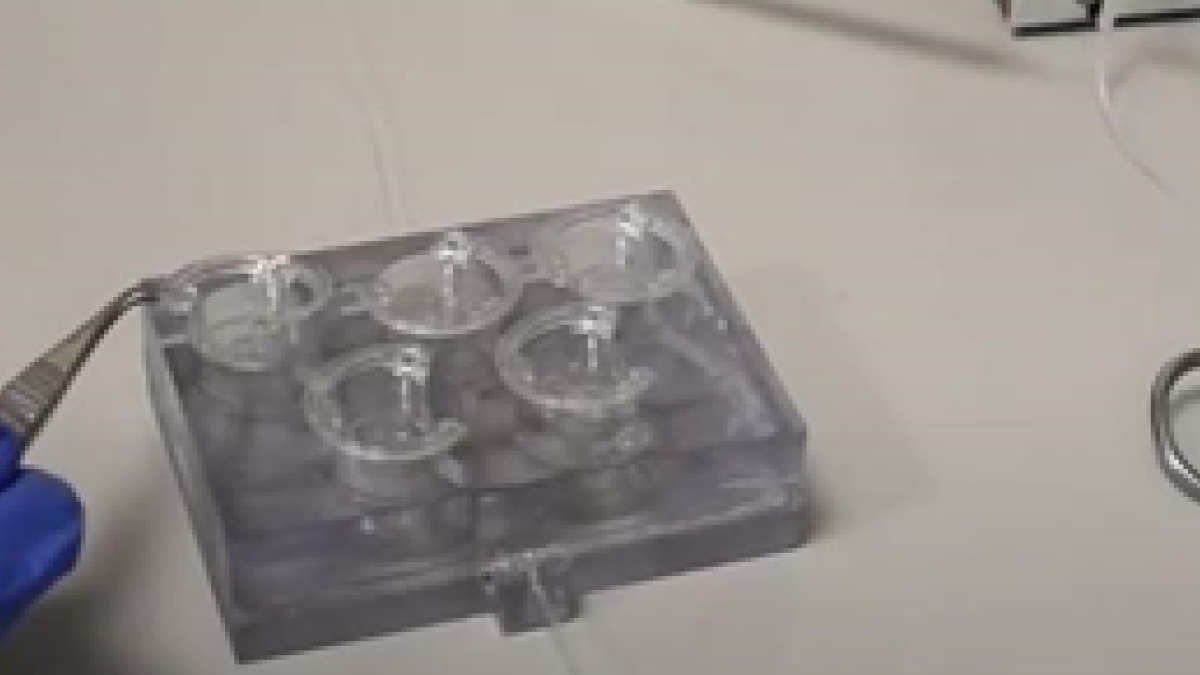 New 3D-printed Chip To Mimic Effect Of Drug On Body, End Animal Tests ...