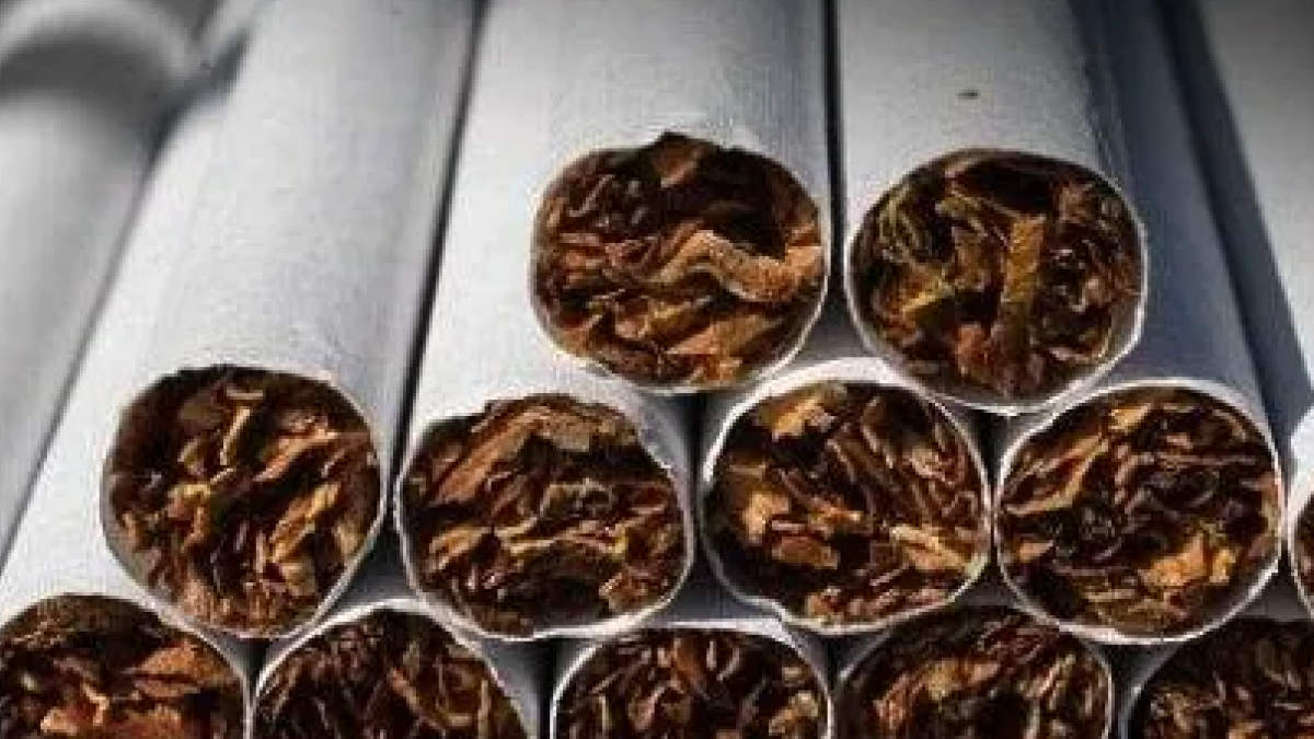 Must Combat Dual Burden Of Smoking & Smokeless Tobacco In India ...