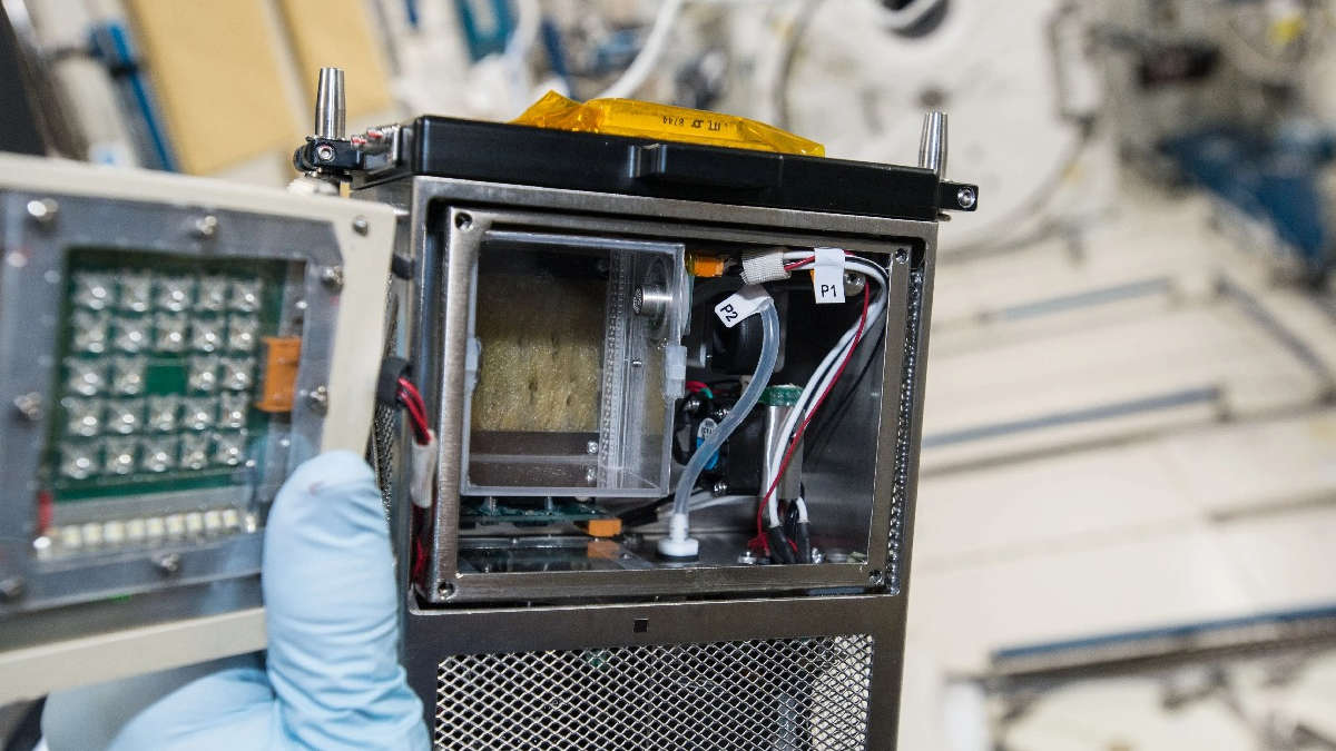 NASA Expedition 71 Astronauts To Conduct Key Research In Space | Glamsham