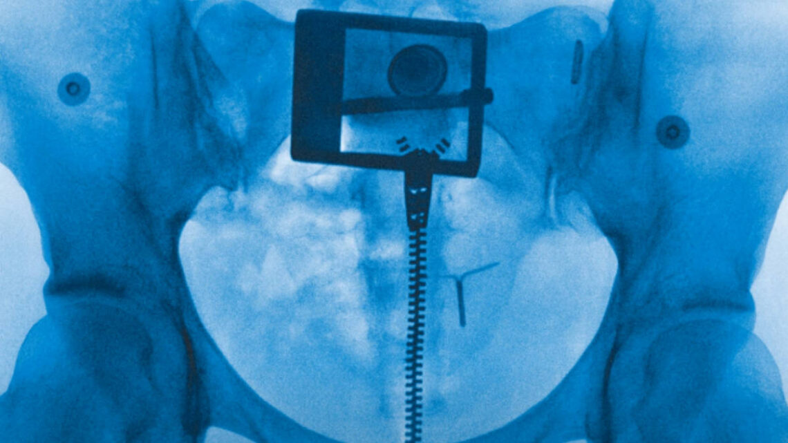 Lorde - Shapeshifter Song Lyrics | Glamsham.com | Since 1999