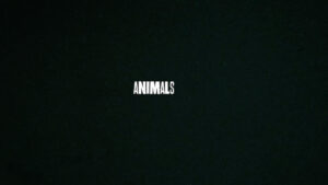 JID - Animals Song Lyrics Ft. Eminem | Glamsham.com | Since 1999